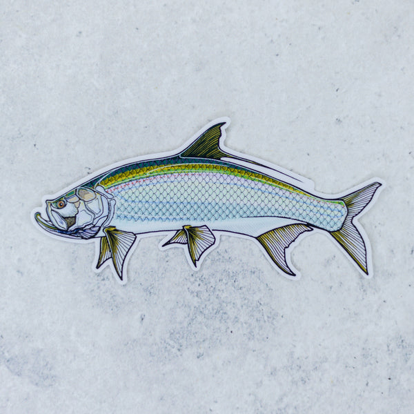 Tarpon Sticker – Space Coast Flies