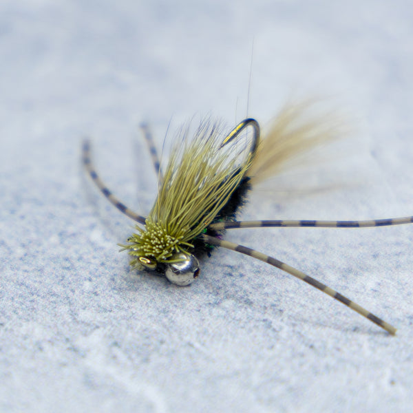 Bearded Dragon – Space Coast Flies