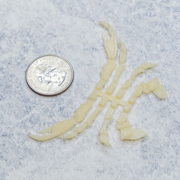Flats Craft Mandaclawrian Crab Legs - Natural – Space Coast Flies